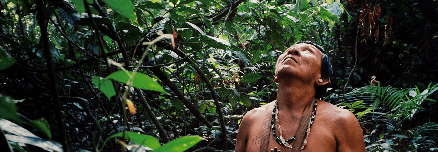 Forests & Land Use - ClimateWorks Foundation