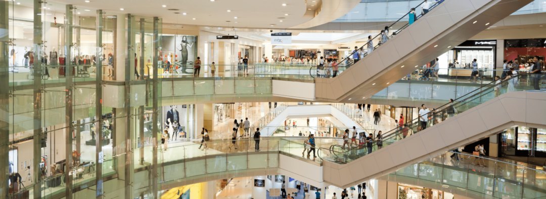 The true cost of consumption: Curbing mindless purchasing habits for a ...