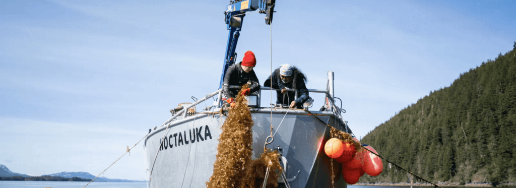 How philanthropy can help the world’s ocean fight climate change ...