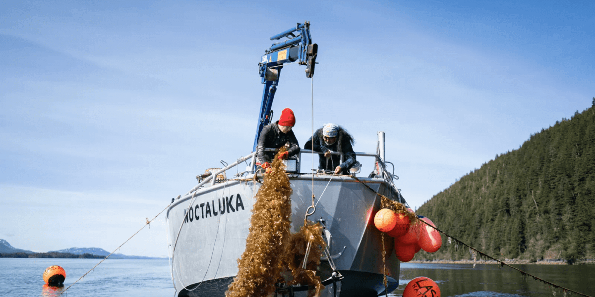 How philanthropy can help the world’s ocean fight climate change ...