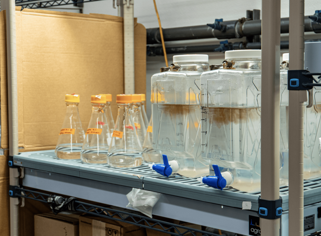 How philanthropy can help the world’s ocean fight climate change ...