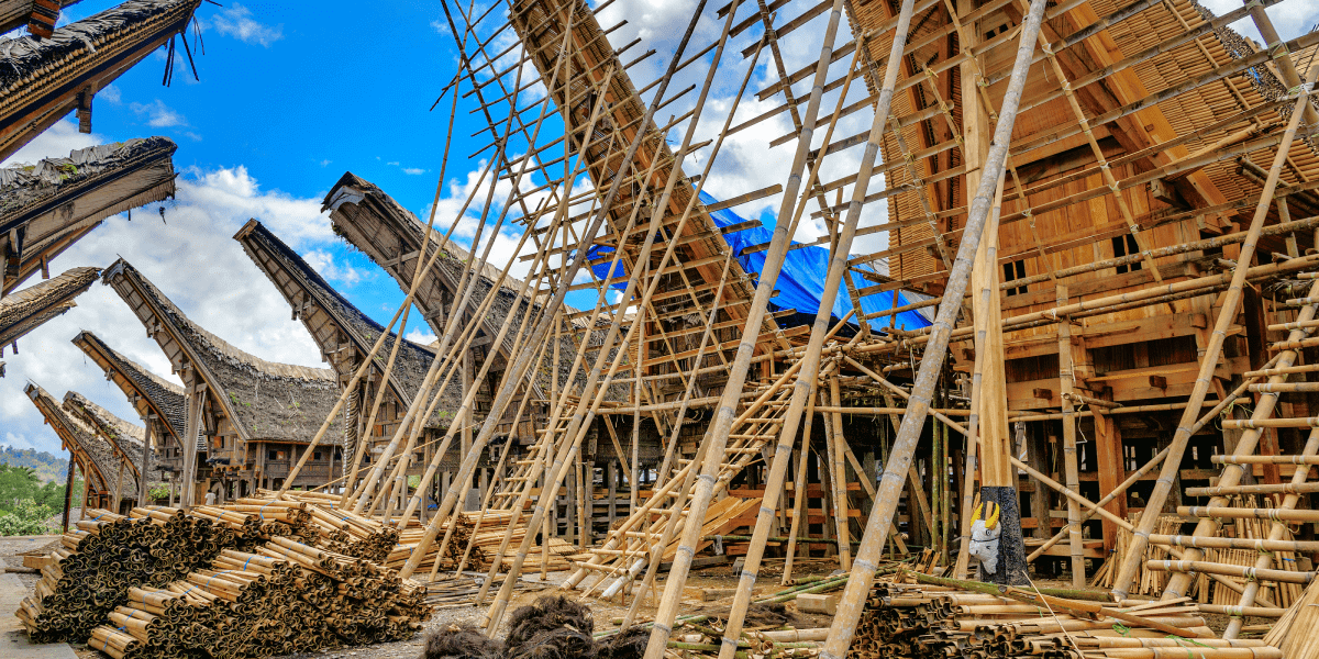 Biogenic materials can help us build a better future - ClimateWorks ...