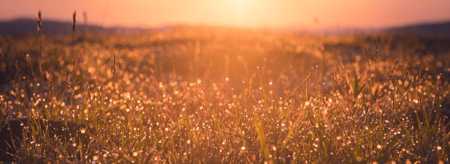 The promise of climate philanthropy in 2023 - ClimateWorks Foundation