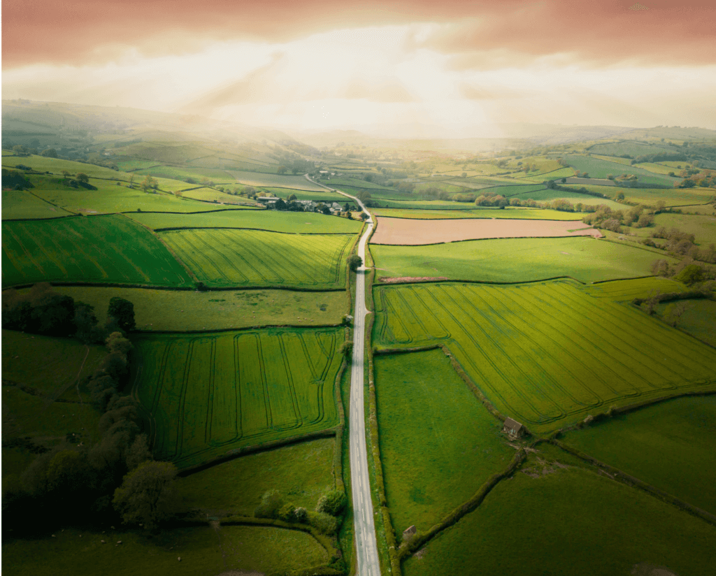 Insights - ClimateWorks Foundation